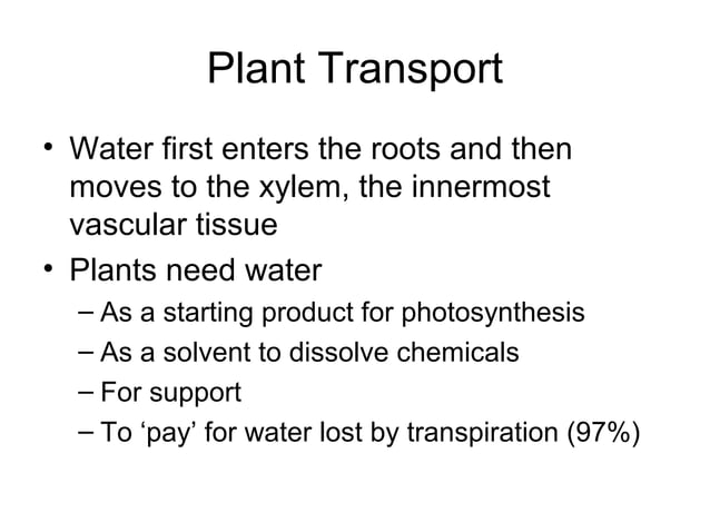 Plant water transport | PPT