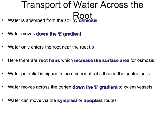 Plant water transport | PPT