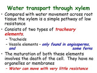 Plant water transport | PPT