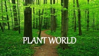 Plant World | PPTX