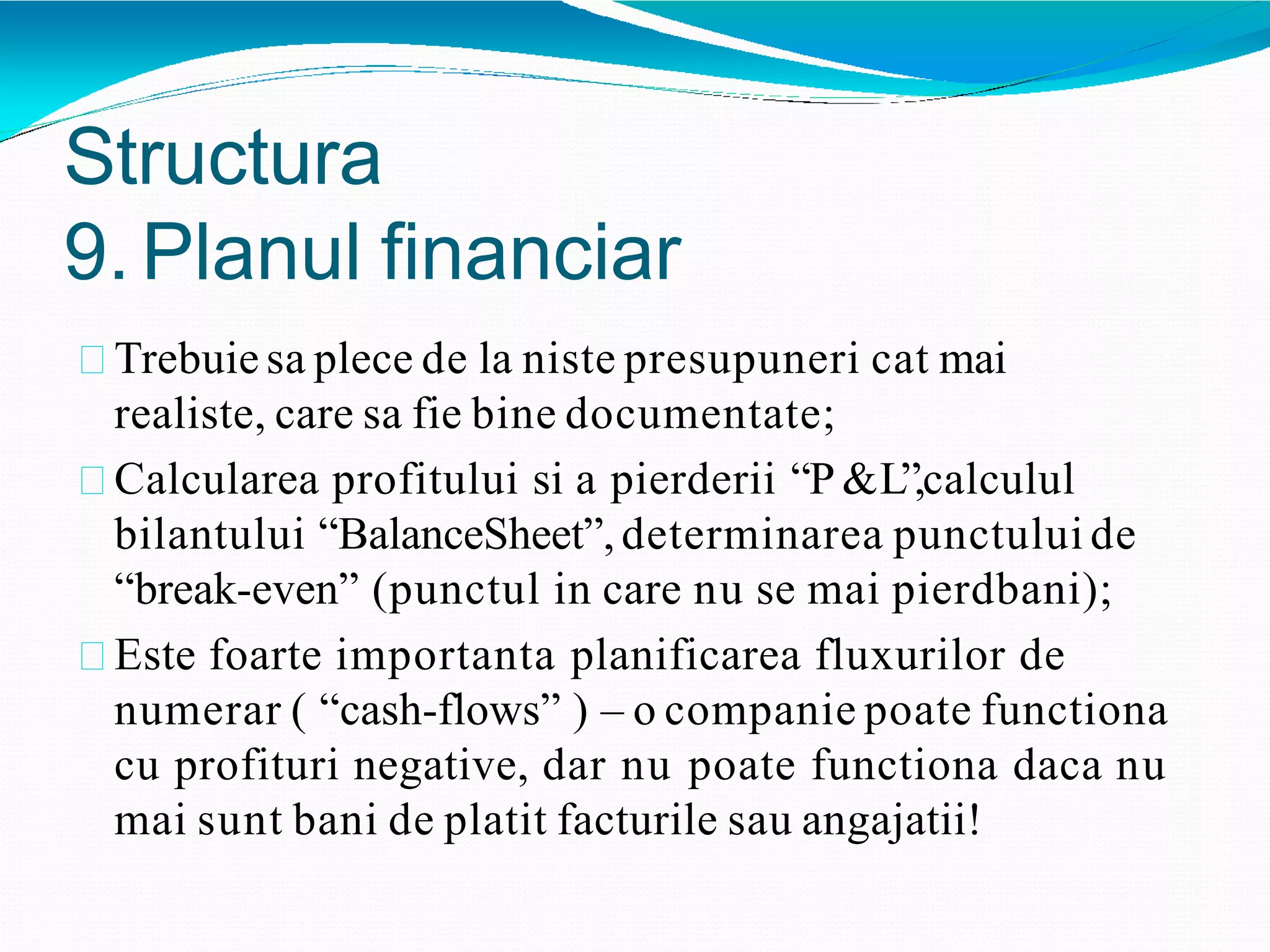 Planul de afaceri | PPTX