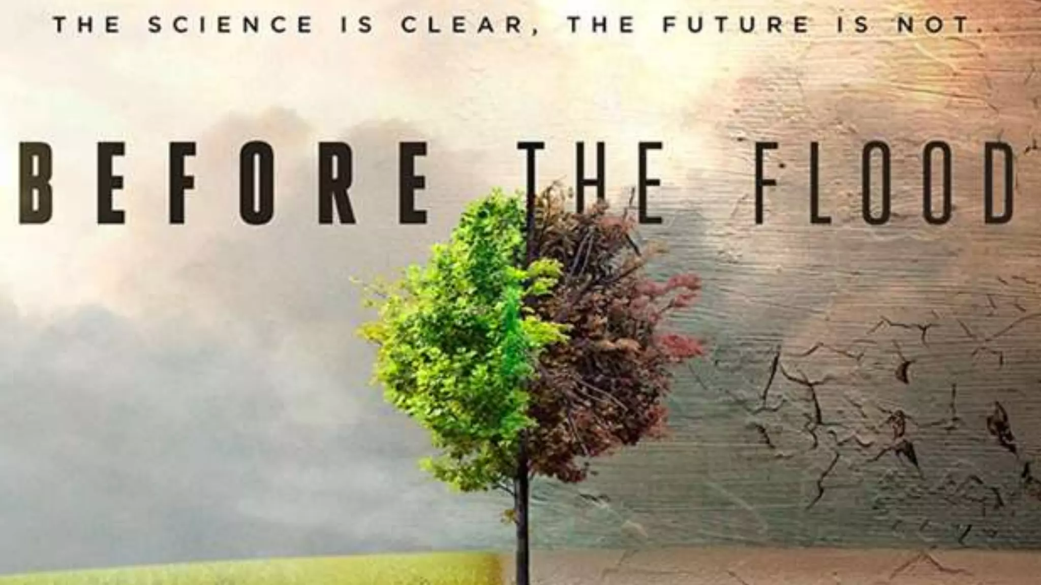 Planeta Verde 1 – Before the flood | PPT