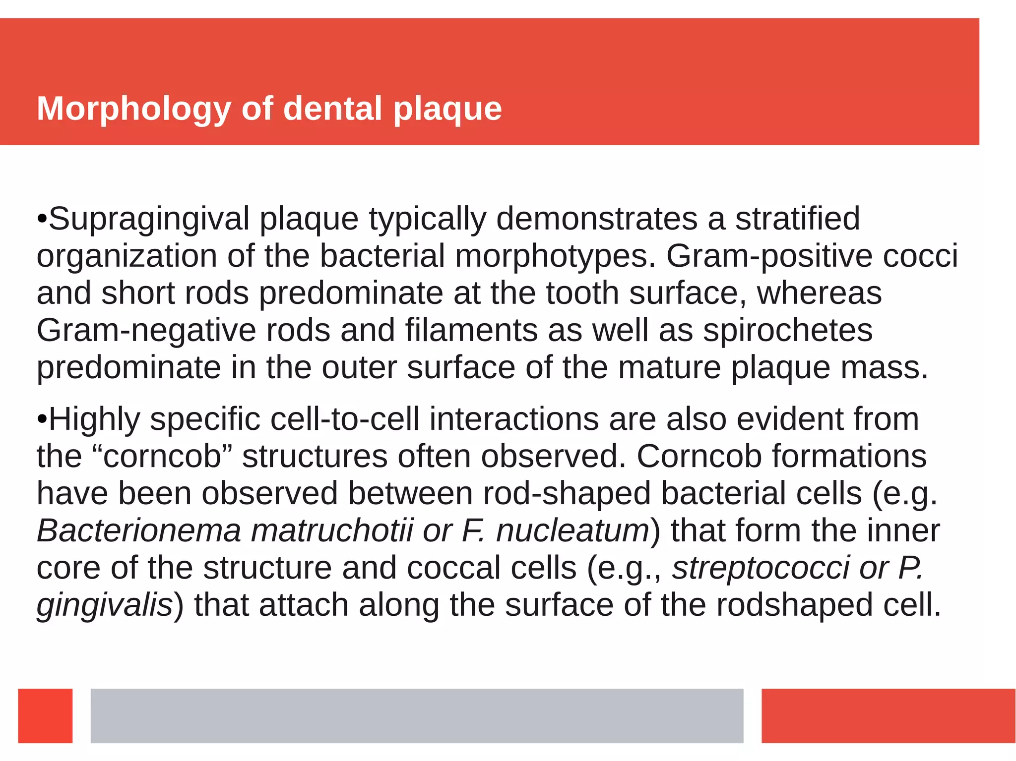 Dental Plaque | ODP