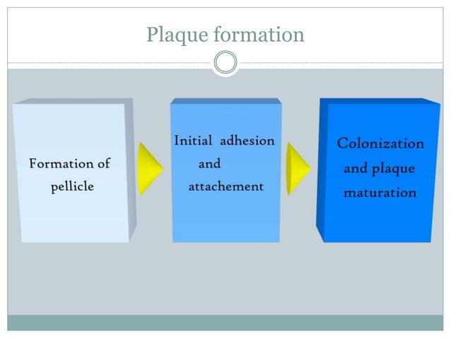Plaque.ppt