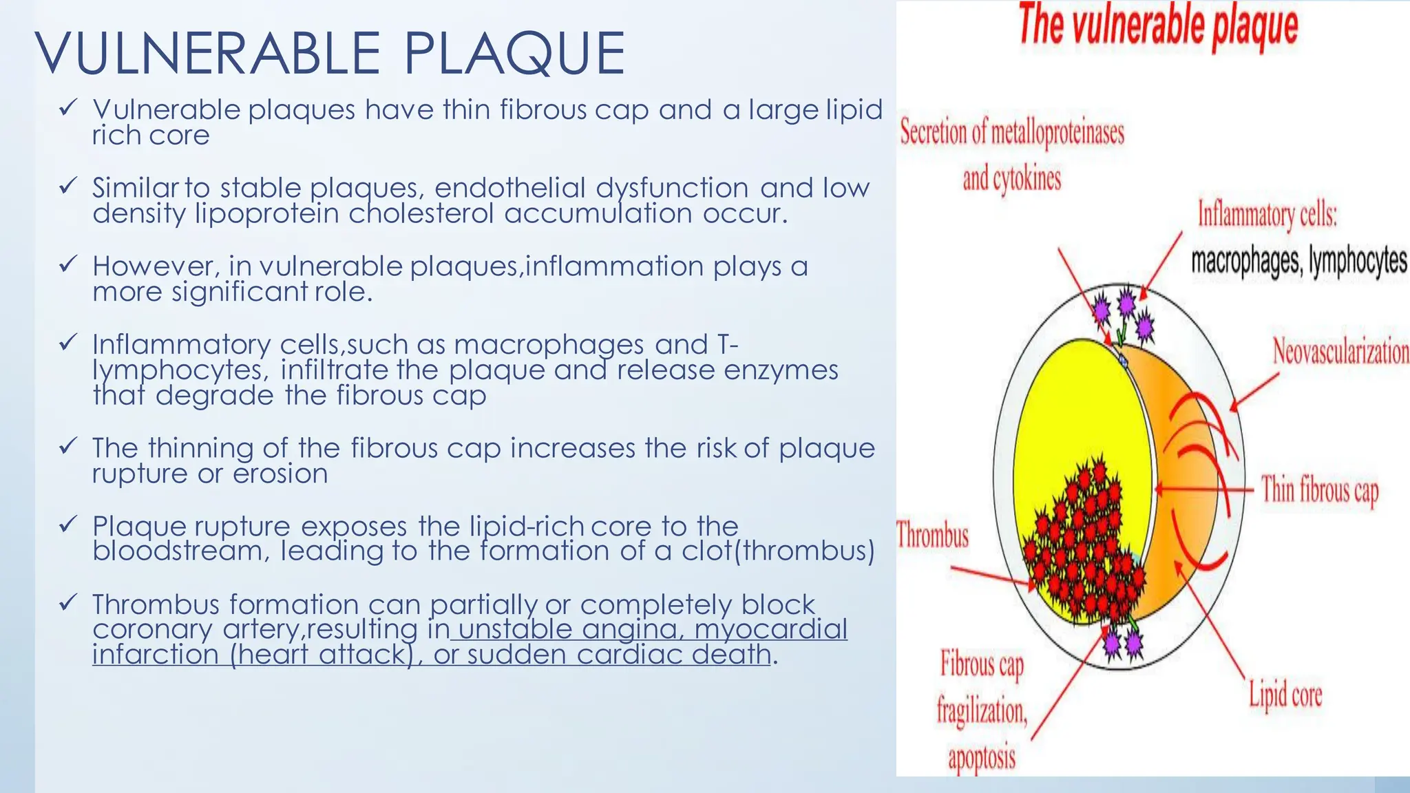 TYPES OF CORONARY PLAQUES SLIDESHARE PRESENTATION | PDF