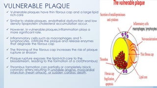 TYPES OF CORONARY PLAQUES SLIDESHARE PRESENTATION | PDF