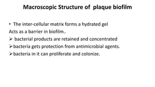 plaque as a biofilm power point in periodontics | PPTX