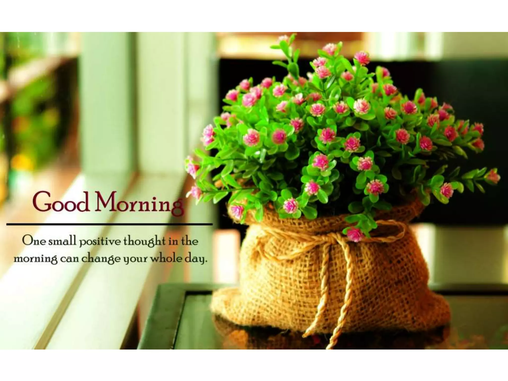 Plaque as a Biofilm | PPTX