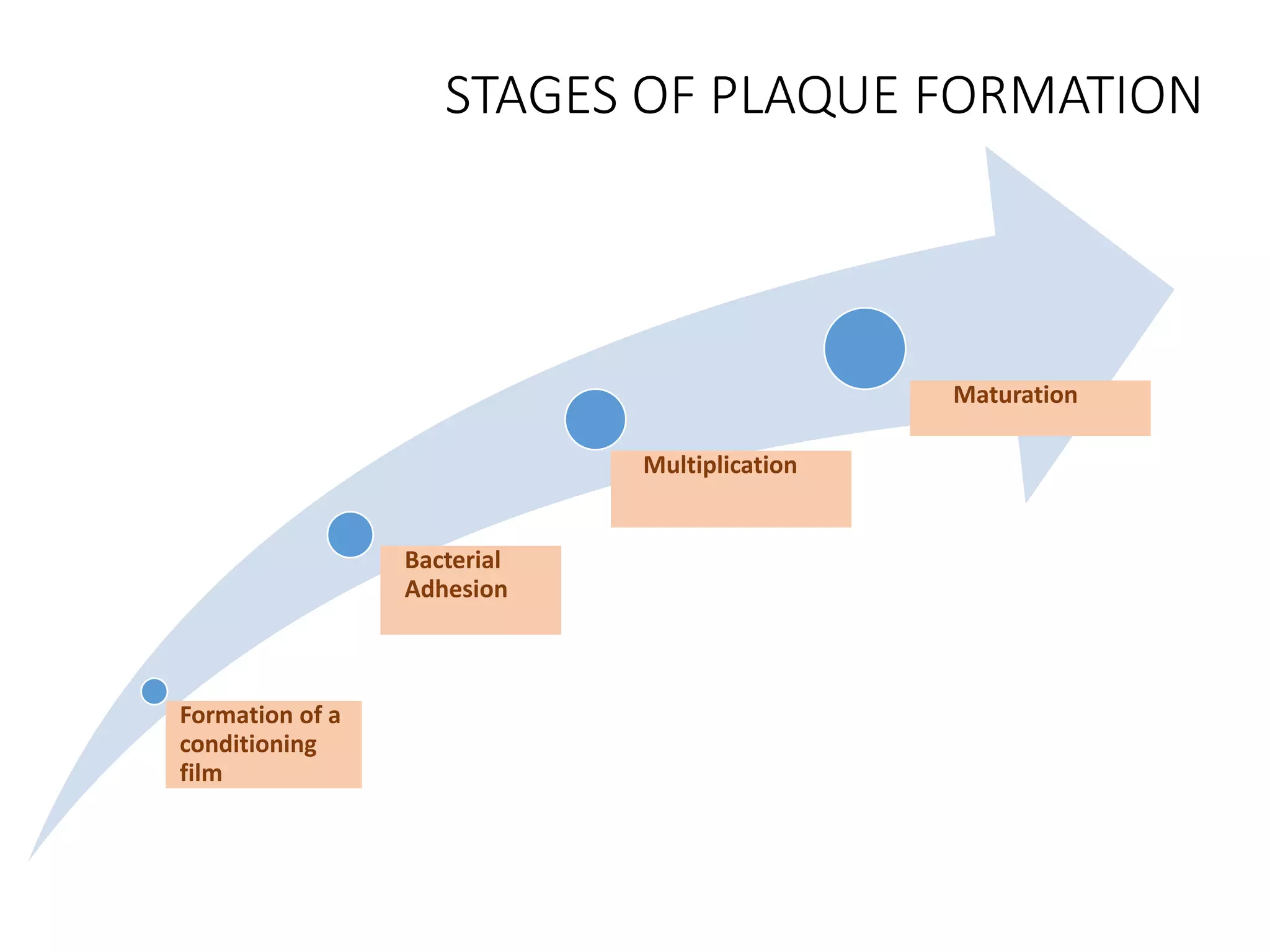Plaque as a Biofilm | PPTX