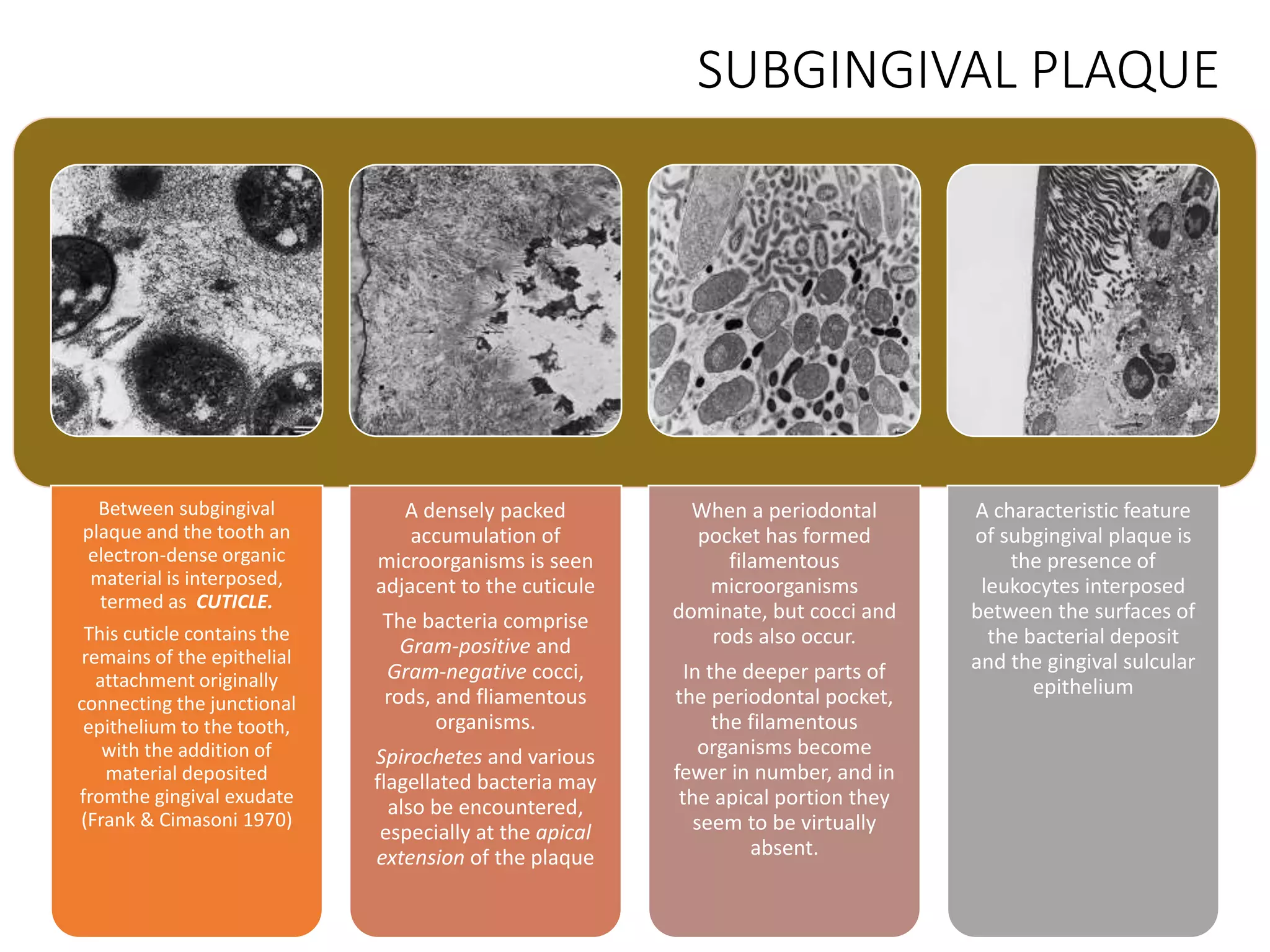 Plaque as a Biofilm | PPTX