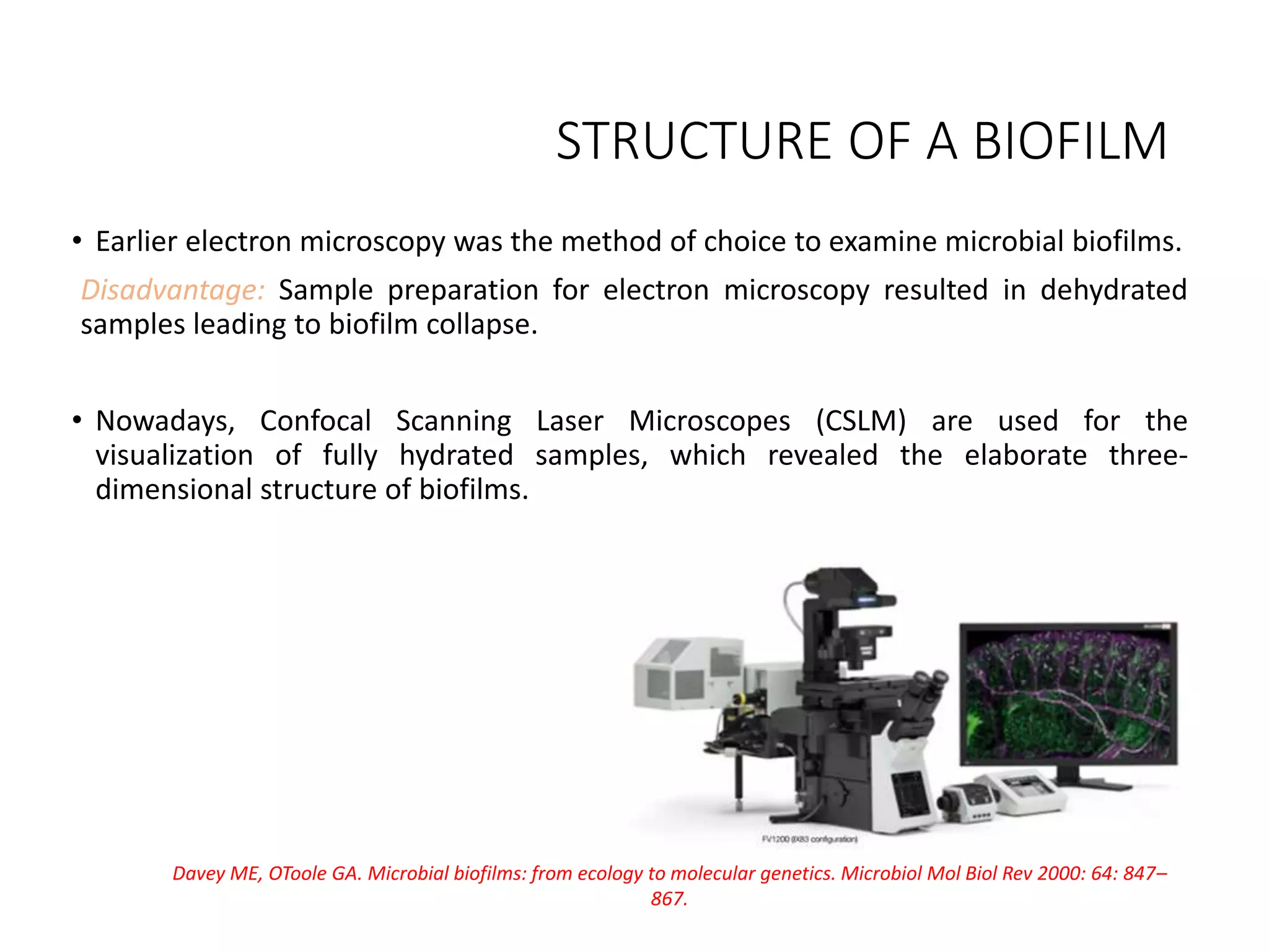 Plaque as a Biofilm | PPTX
