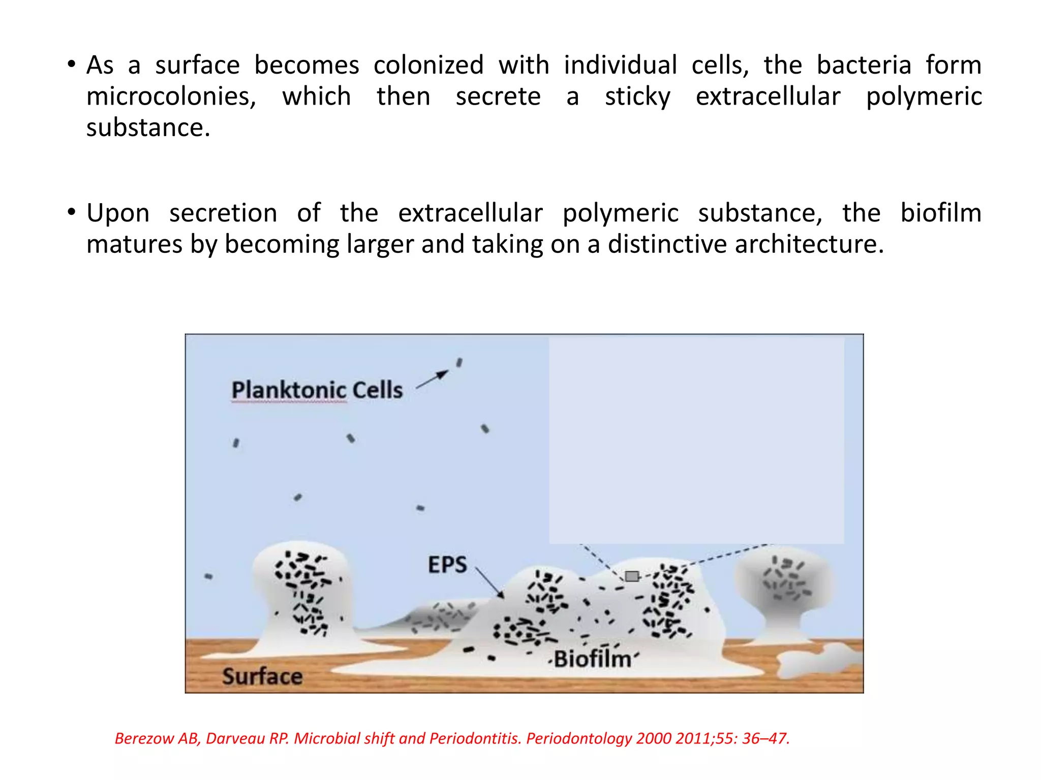 Plaque as a Biofilm | PPTX