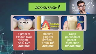 PLAQUE CONTROL.pptx