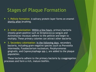 Plaque Control for the Periodental Patient1(1) [Autosaved].pptx