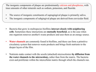 Plaque in health and disease | PPTX