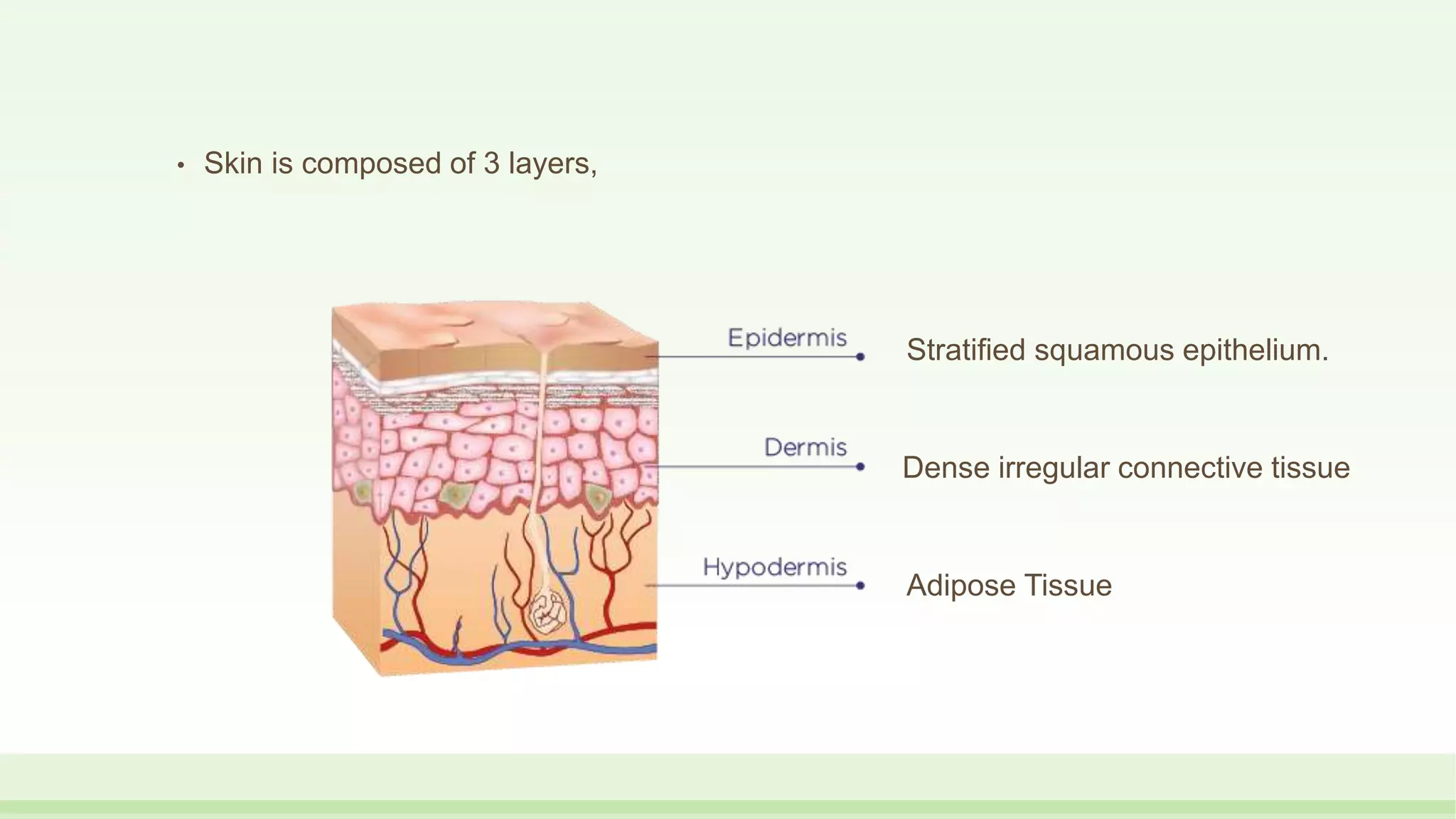 Plaque psoriasis presentation | PPTX