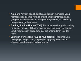 proses terbentuk nya plasenta pada saat kehamilan | PPT