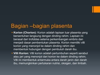 proses terbentuk nya plasenta pada saat kehamilan | PPT