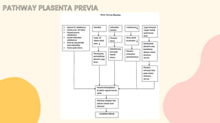 plasenta previa .pdf