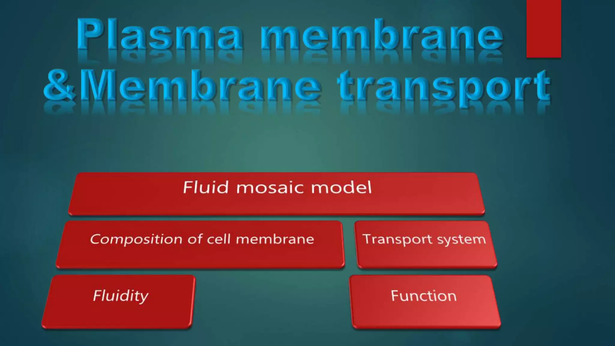 Plasma membrane and membrane transport | PPT
