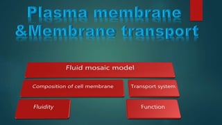 Plasma membrane and membrane transport | PPT