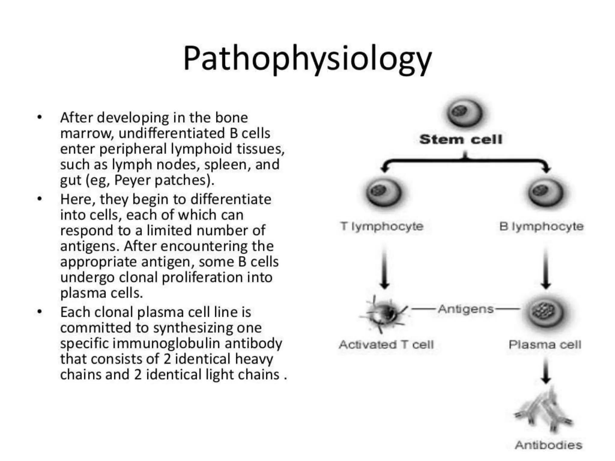 plasma cell disorder.pptx