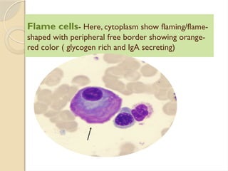 plasma cell disorders in pathology as per WHO | PPTX