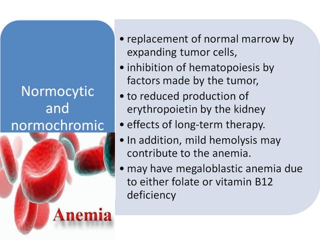 Plasma cell disorders | PPT | Blood Disorders | Diseases and Conditions