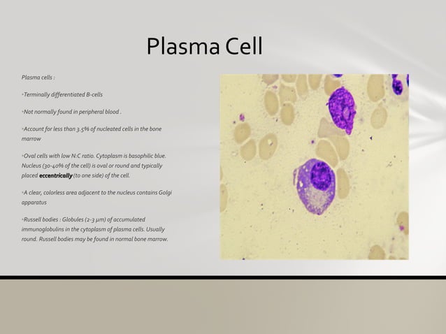 Plasma cell disorders ppt | PPT