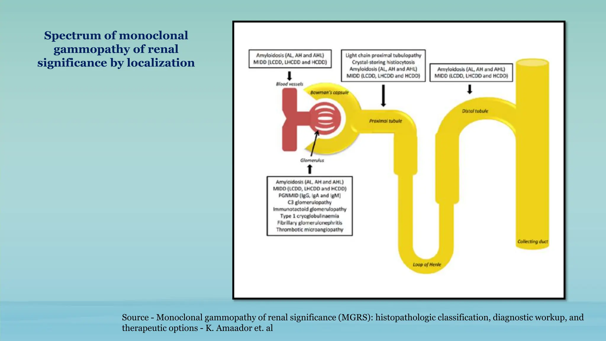 PLASMA CELL DYSCRASIAS Overview.....pptx