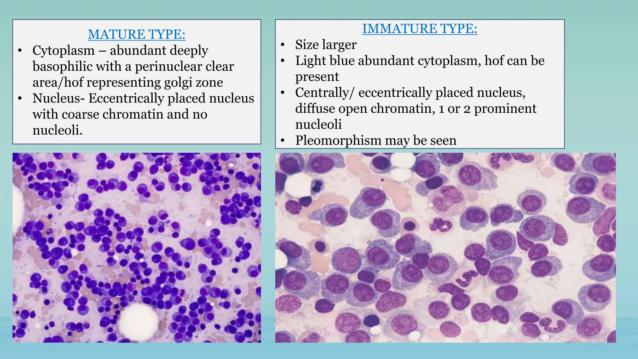 PLASMA CELL DYSCRASIAS Overview.....pptx