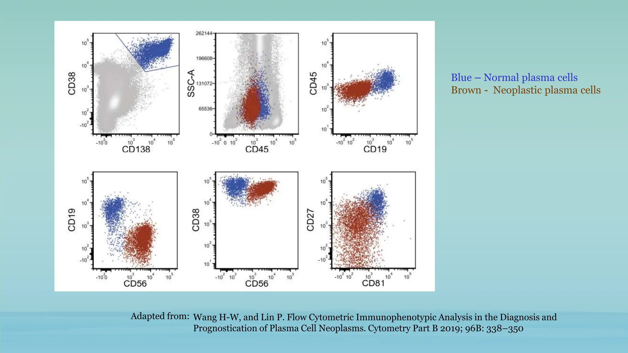PLASMA CELL DYSCRASIAS Overview.....pptx