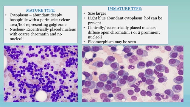PLASMA CELL DYSCRASIAS Overview.....pptx