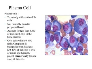 Plasma Cell Clock Face