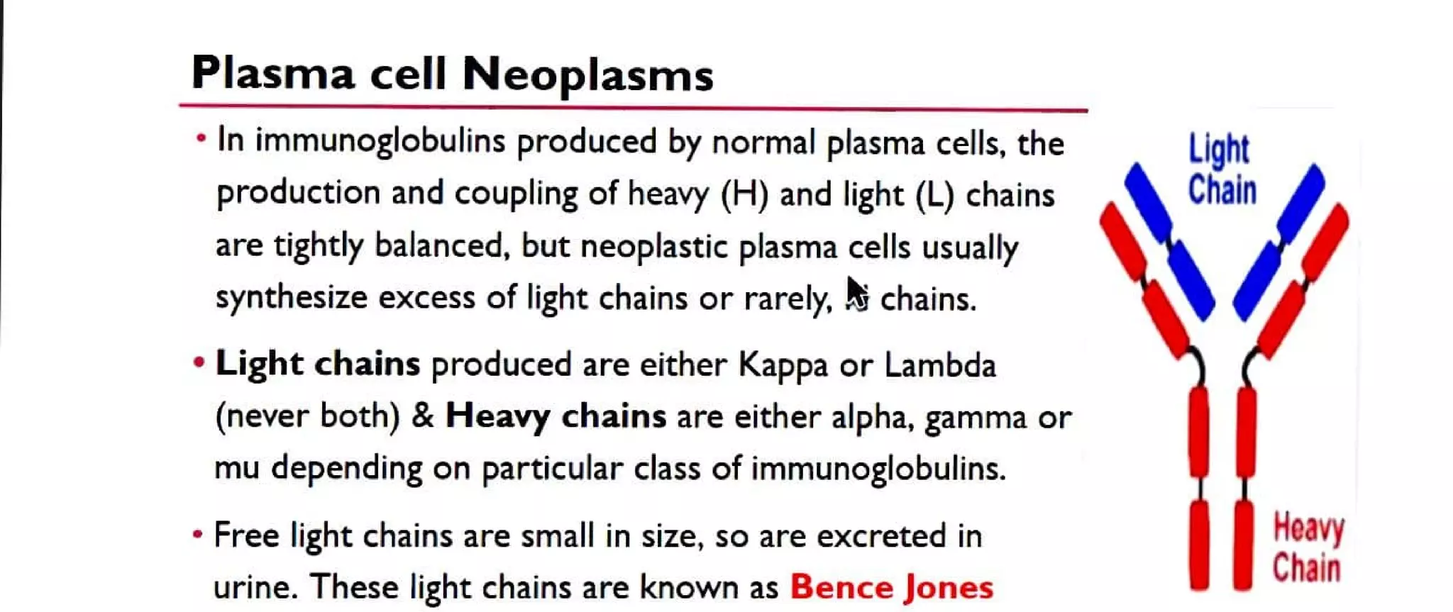 Plasma cell myeloma pathology (1) | PDF
