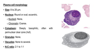 Plasma Cell Neoplasms (2021) | PPT