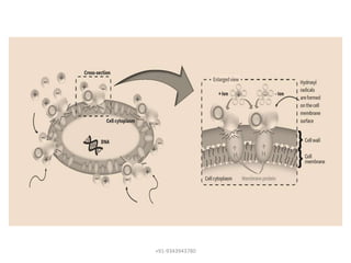 Plasma cluster technology | PPTX