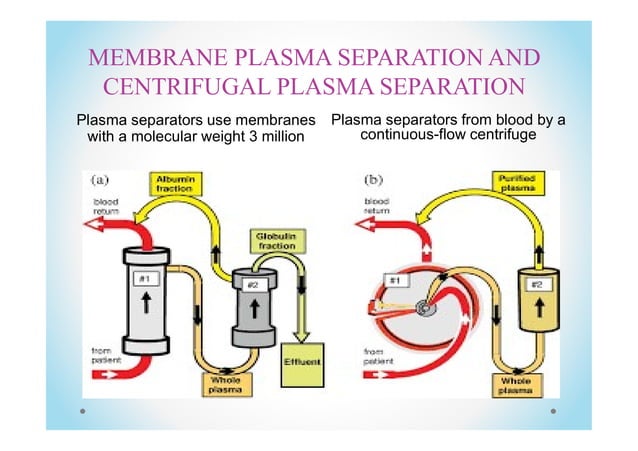 Plasma exchange in neurologic disease | PDF | Blood Disorders ...
