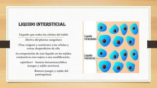 PLASMA EXPO HISTOLOGIA ENTERO FINAL.pptx