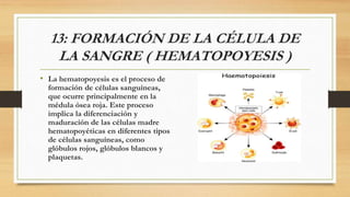 PLASMA EXPO HISTOLOGIA ENTERO FINAL.pptx