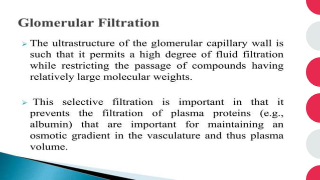 plasma half-life,Excretion and clearance of drugs by Dr.Zeeshan Saif | PPT