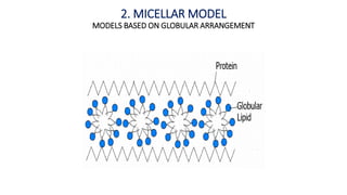 Plasma membrane by Moin Uddin (moin34567@gmail.com) | PPT