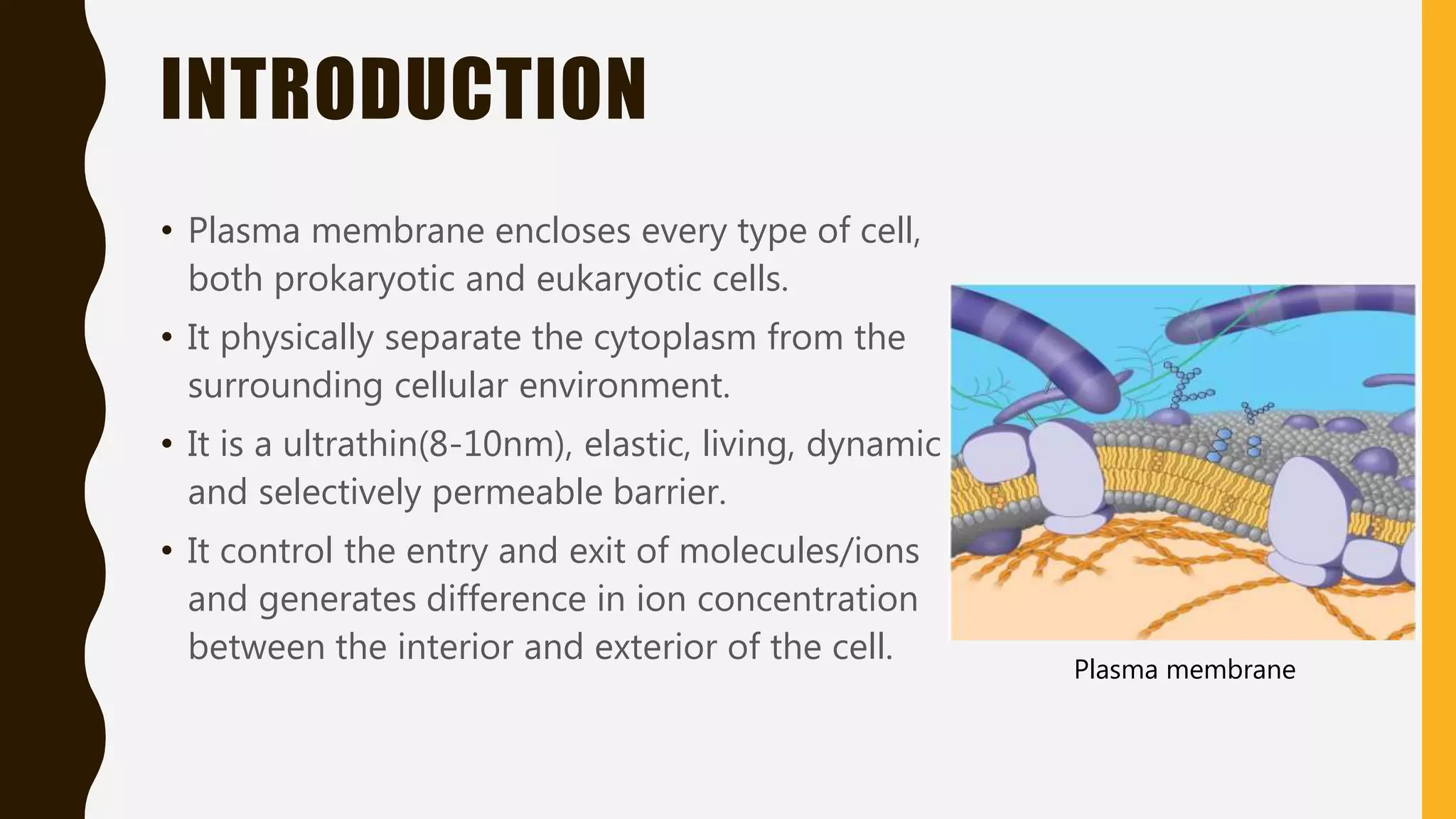 Plasma membrane | PPTX