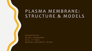 Plasma membrane | PPTX