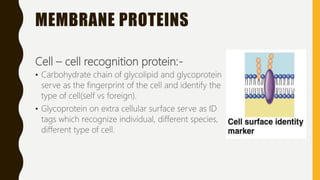 Plasma membrane | PPTX