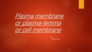 Plasma membrane | PPTX