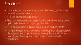 Plasma membrane | PPTX
