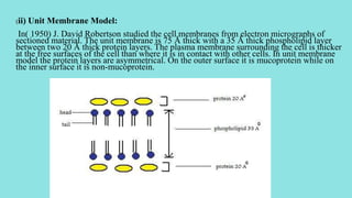 Plasma membrane | PPTX
