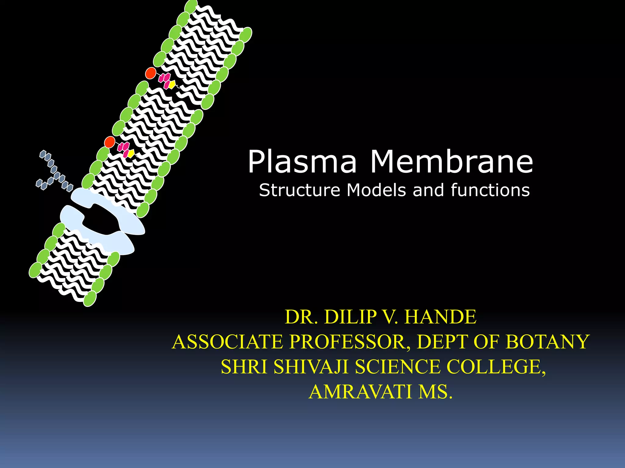 Plasmamembrane | PDF