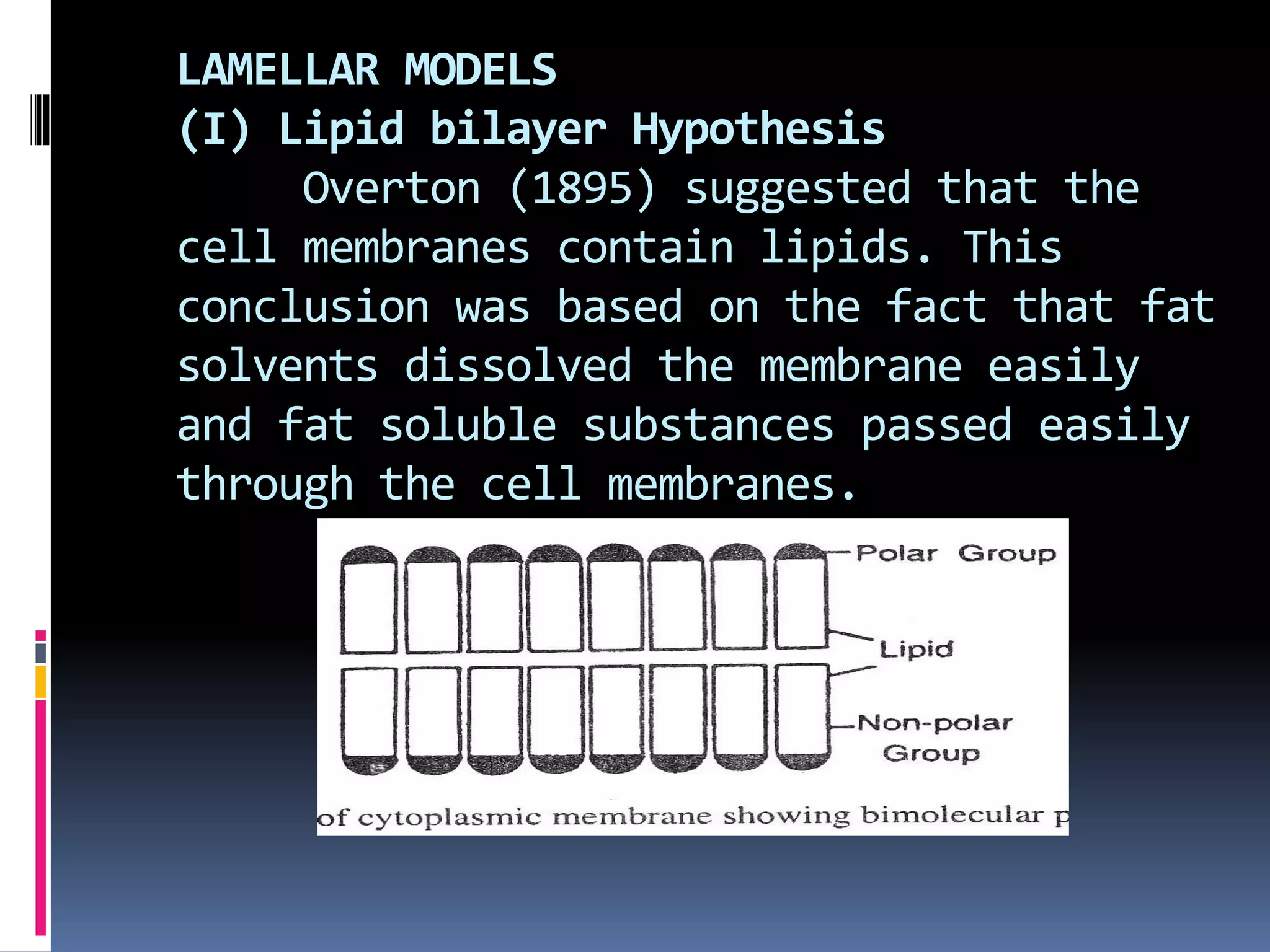 Plasmamembrane | PDF